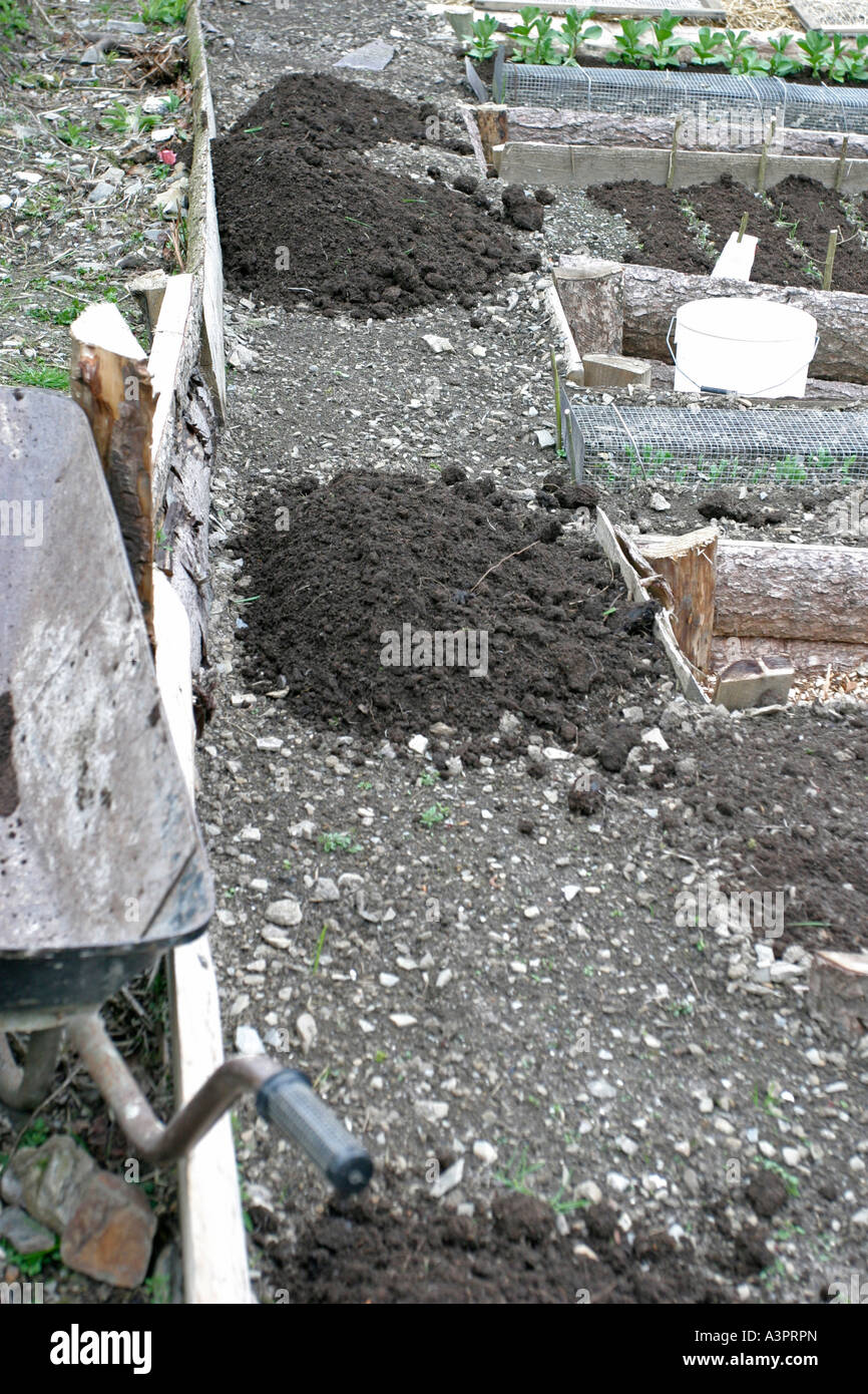 USING COMPOST TIP IN PILES BEFORE SPREADING AND DIGGING IN Stock Photo ...