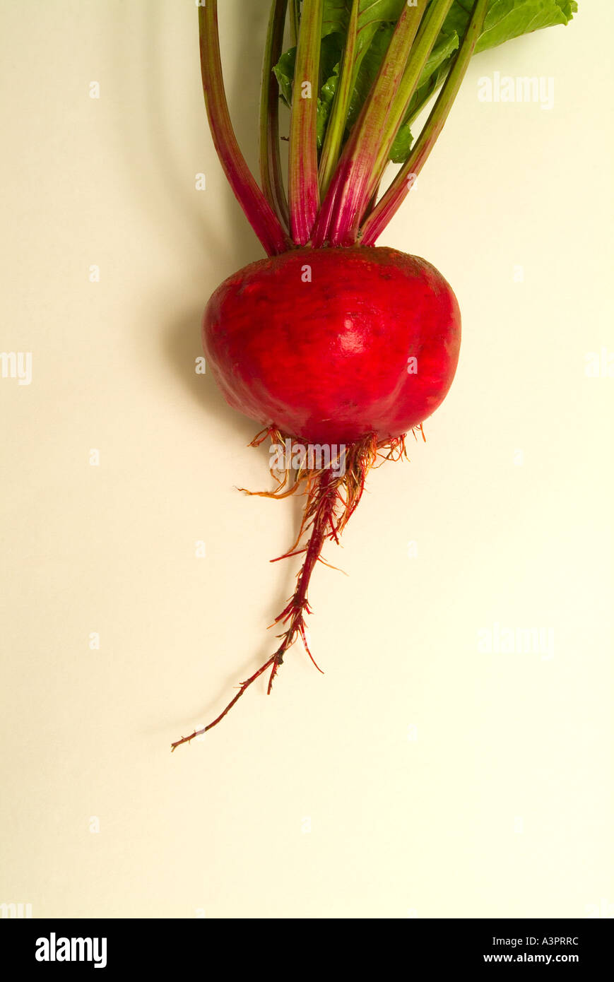 Blood turnip beet hi-res stock photography and images - Alamy