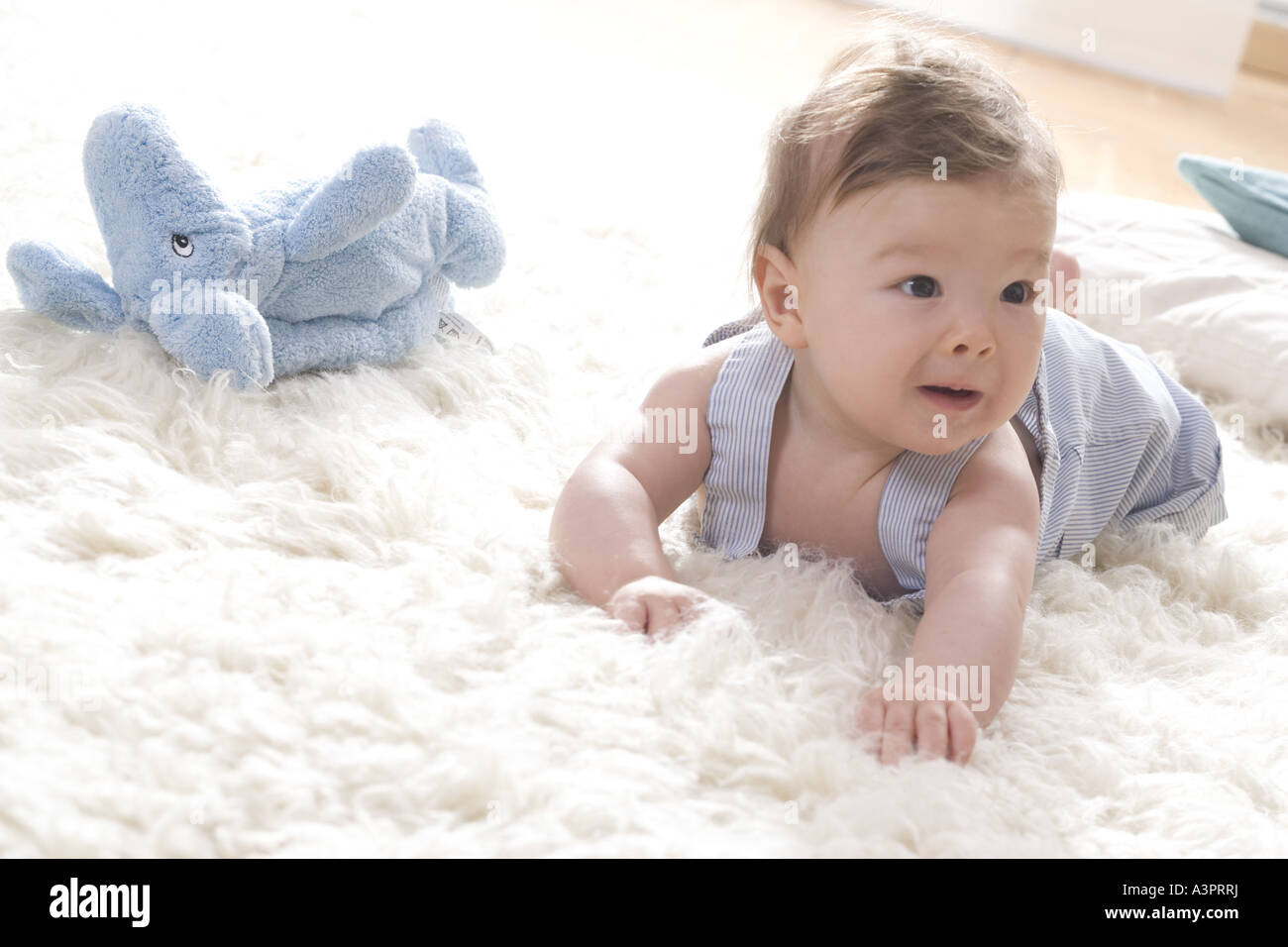 baby crawling on the floor Stock Photo - Alamy