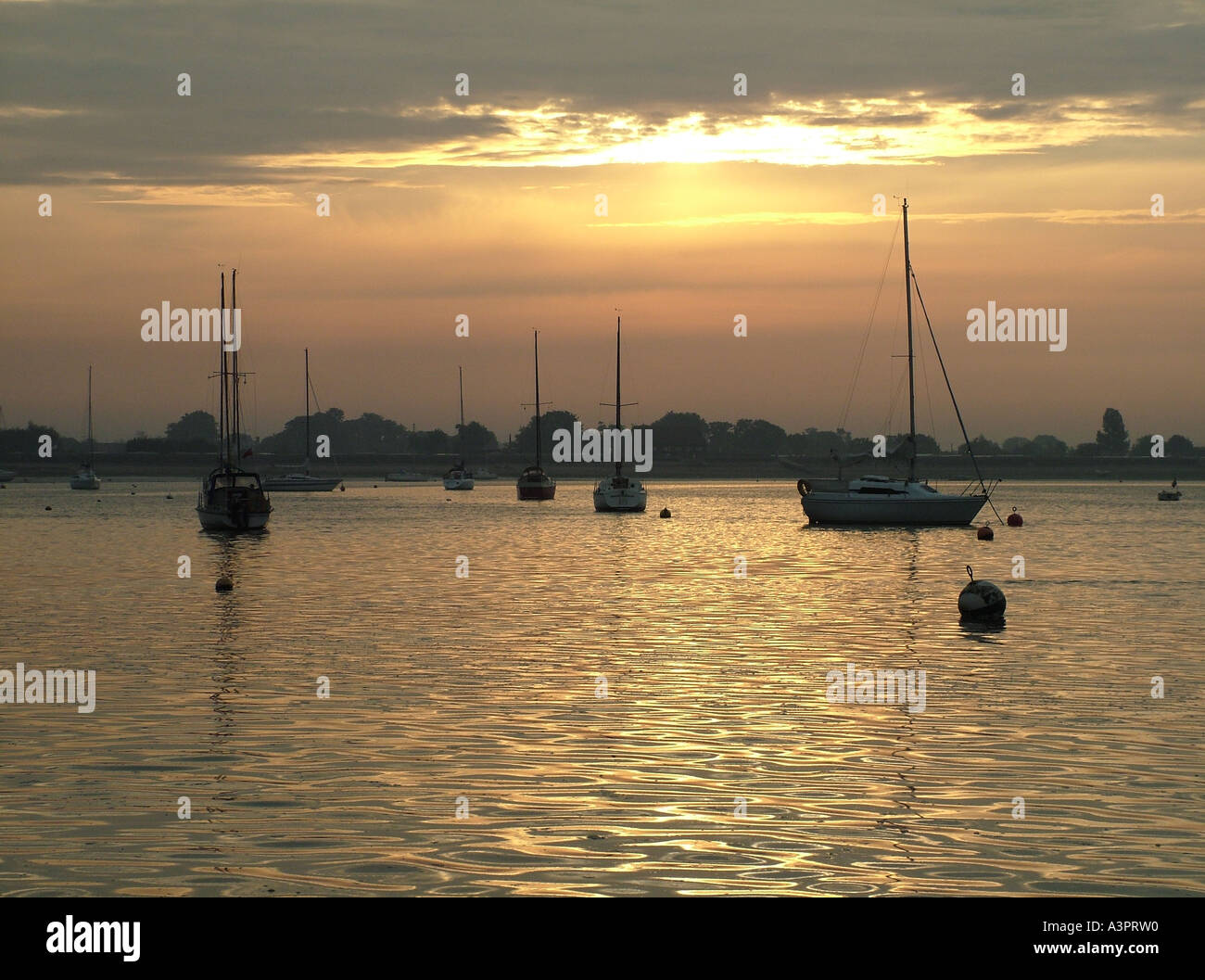 Yachts at sunrise on the River Blackwater Heybridge Basin Essex England ...