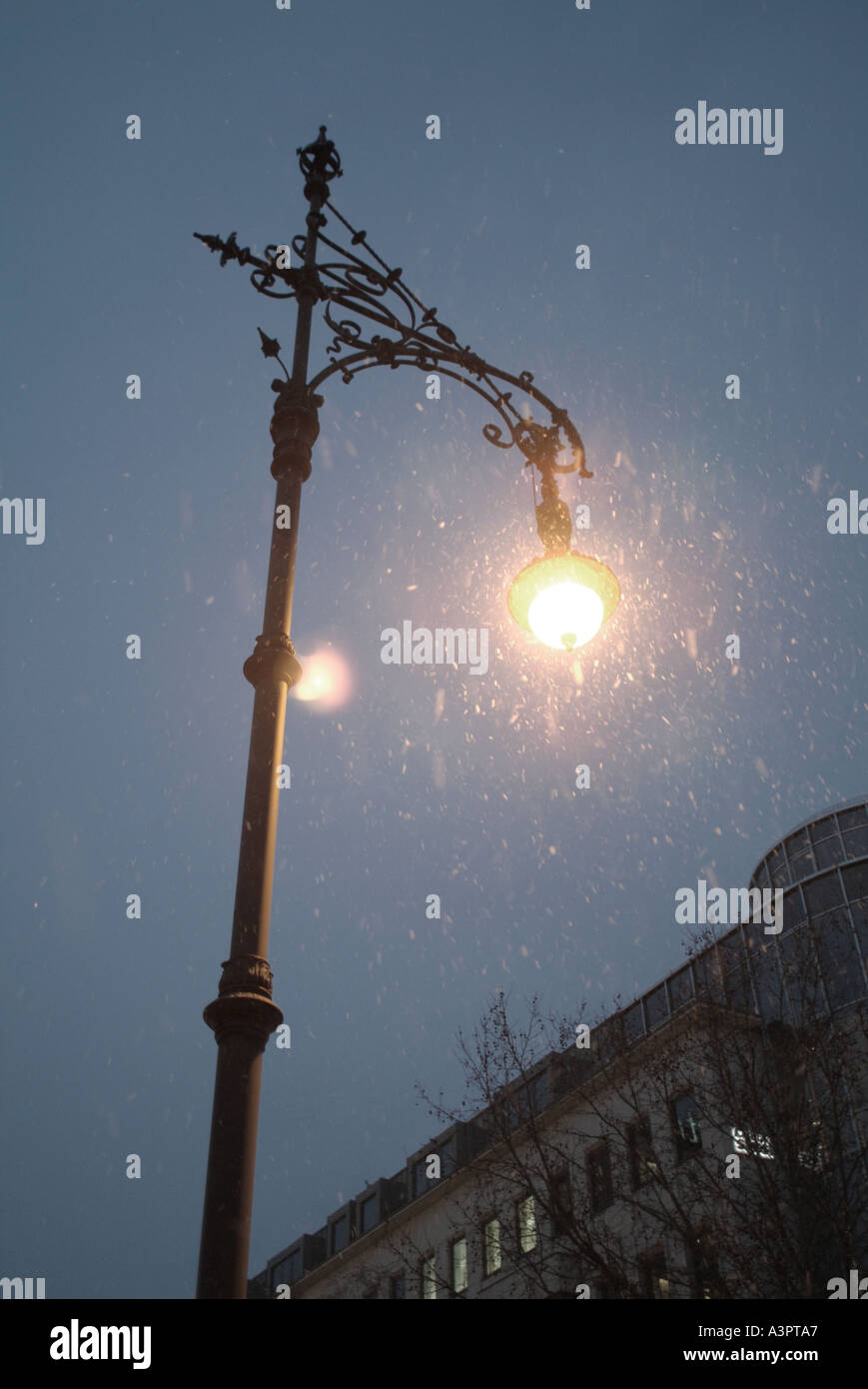 street light in a snow fall Stock Photo - Alamy