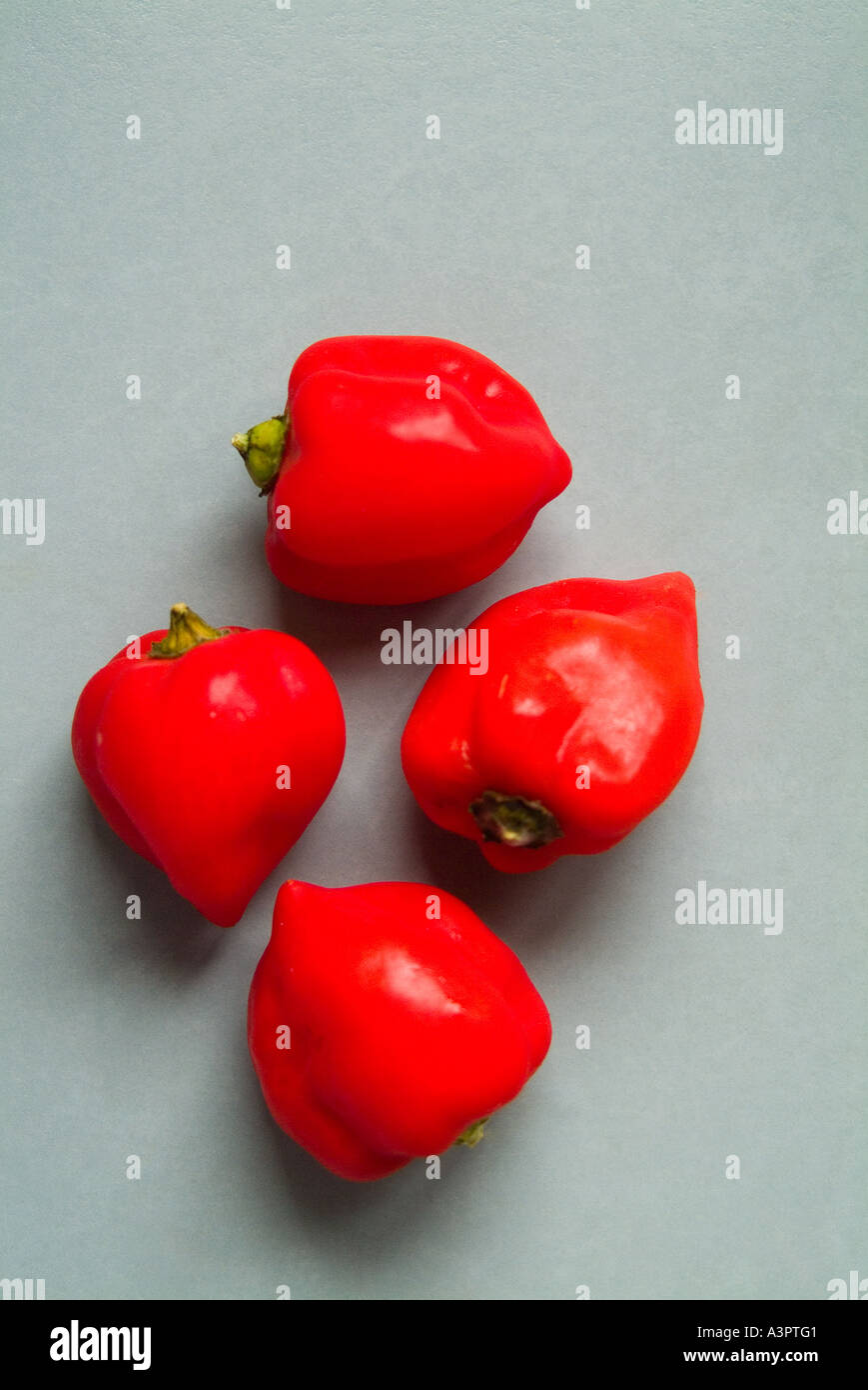Spicy habanero hi-res stock photography and images - Alamy
