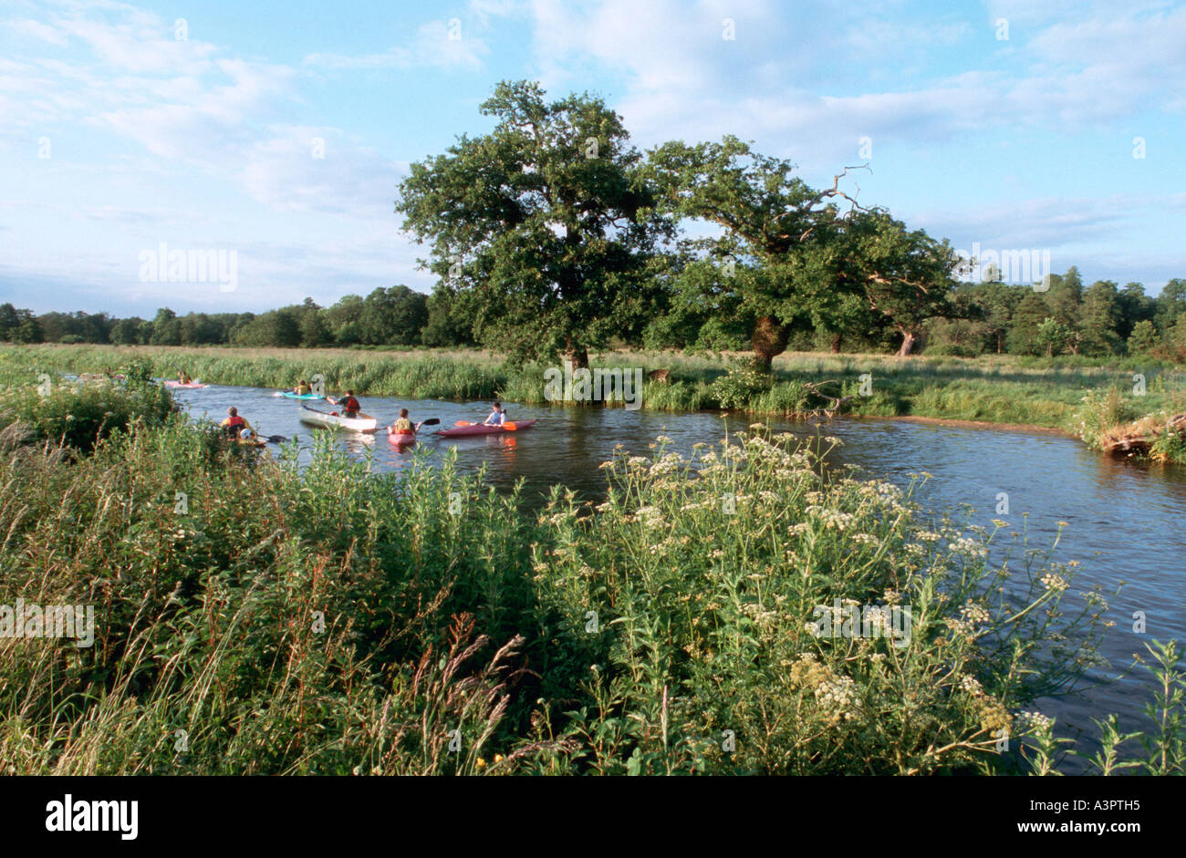 River wey and canoe hi-res stock photography and images - Alamy