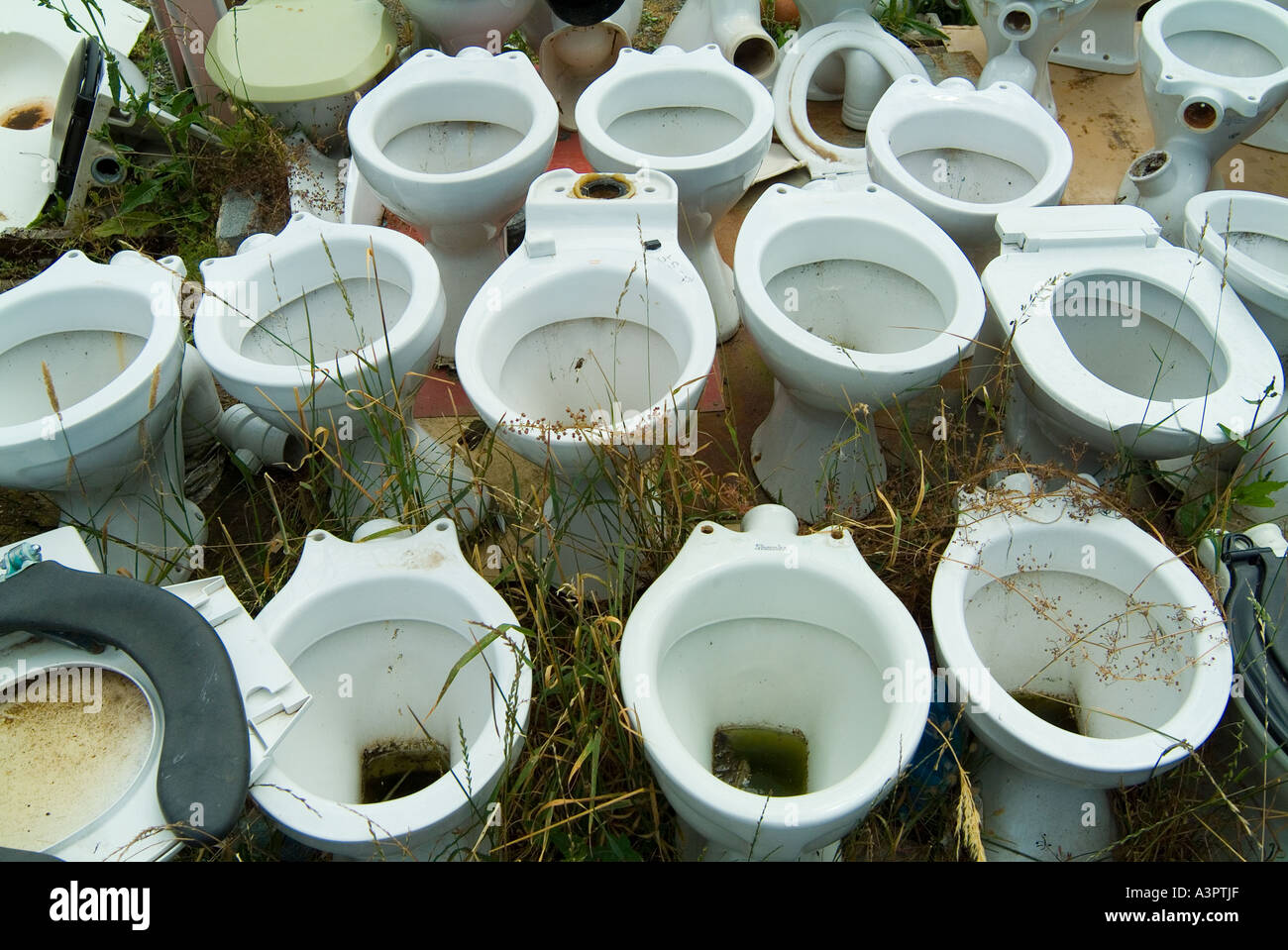 Discarded lavatory bowls at a recycling depot Stock Photo - Alamy