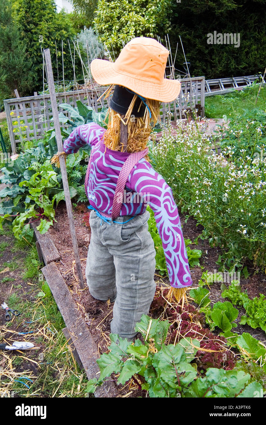 Protecting clothed hi-res stock photography and images - Alamy