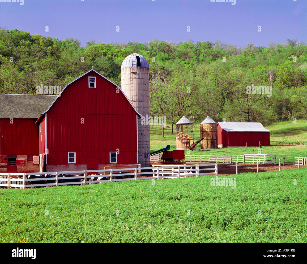 Red farm buildings contrast with green fields in the hilly Wisconson ...
