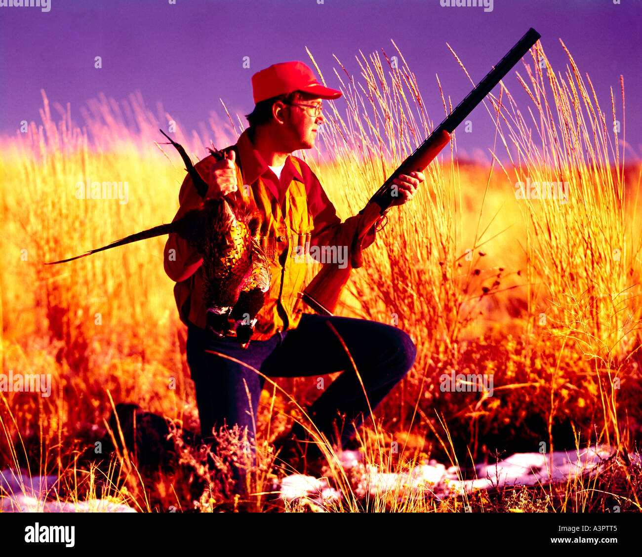 Hunter birds hi-res stock photography and images - Alamy