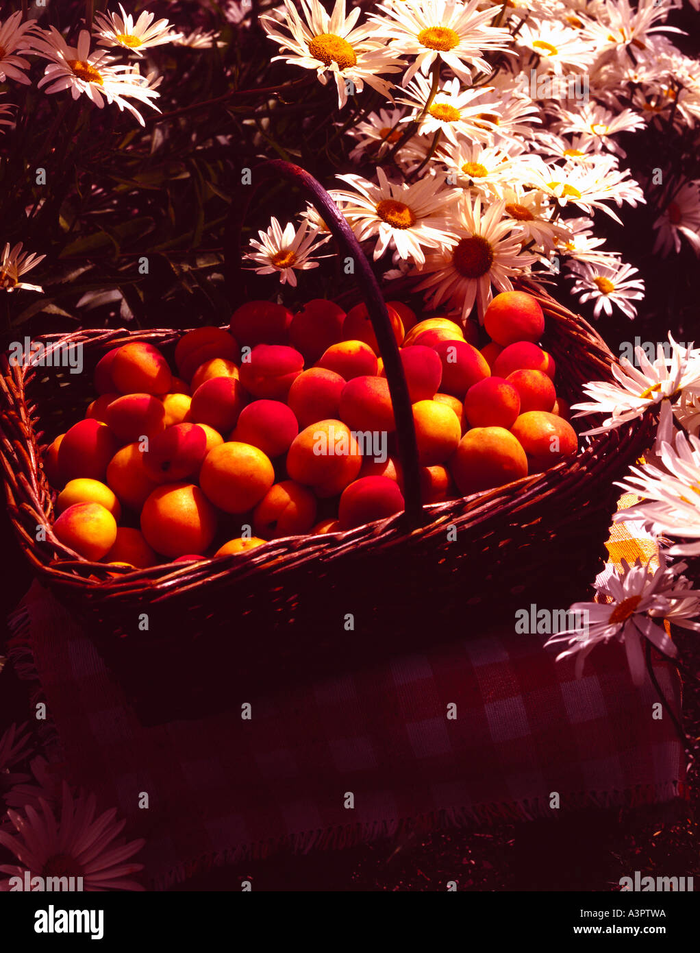 Profusion Of Fruit