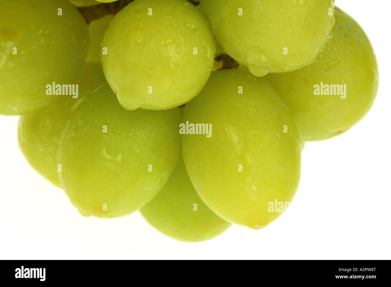 white seedless grapes Stock Photo - Alamy