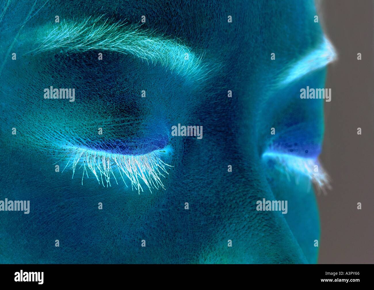 Face Close ups Stock Photo - Alamy