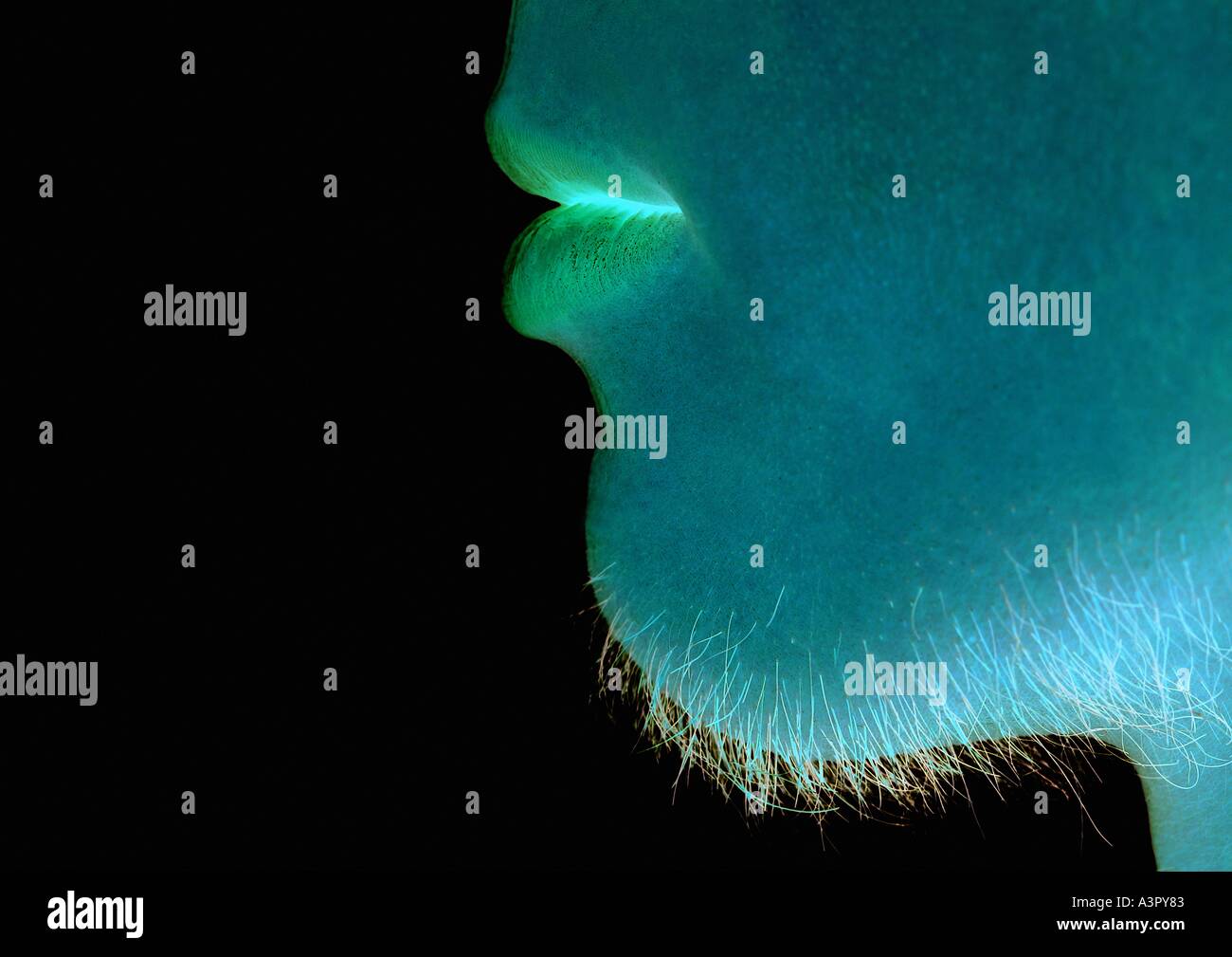 Face Close ups Stock Photo - Alamy