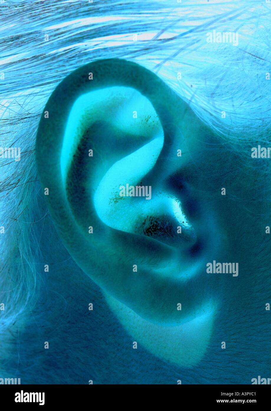 Face Close ups Stock Photo - Alamy