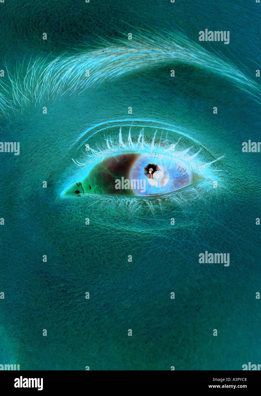 Face Close ups Stock Photo - Alamy