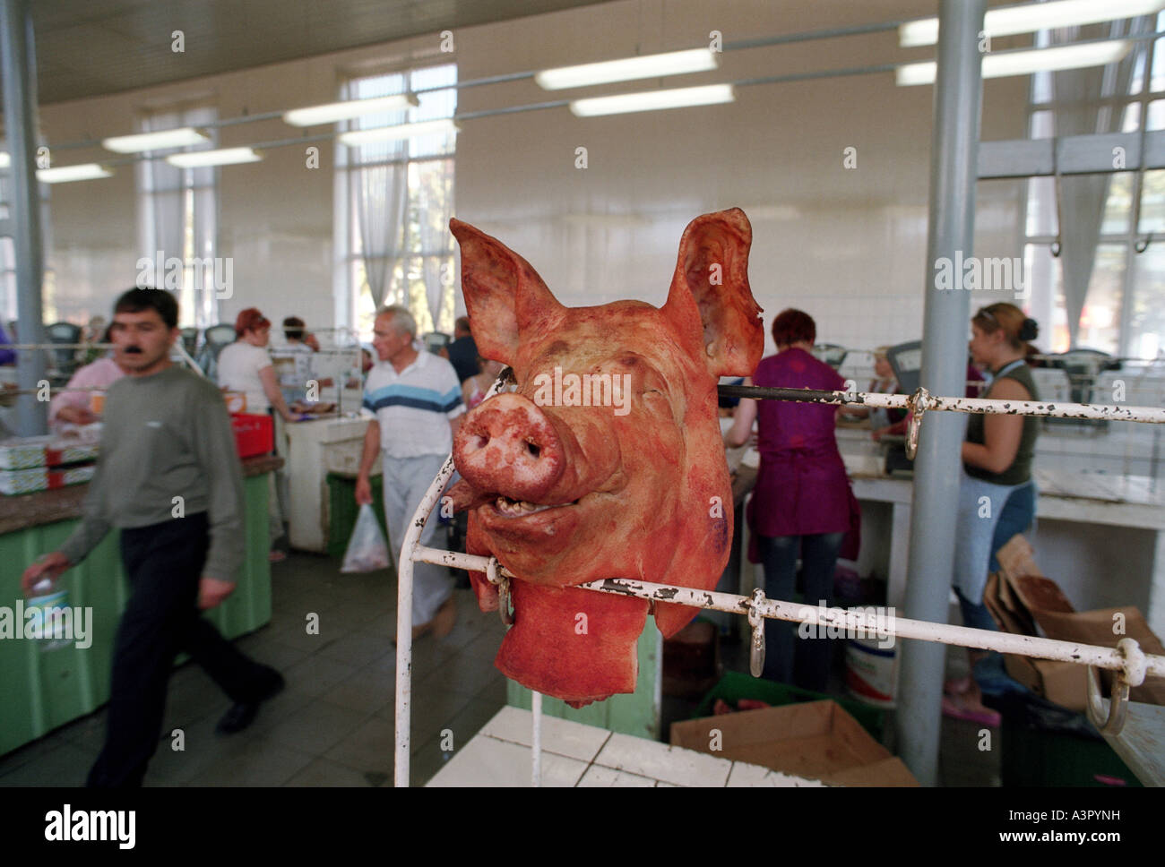 A pigs head for sale in the central marketplace in Kaliningrad, Russia ...