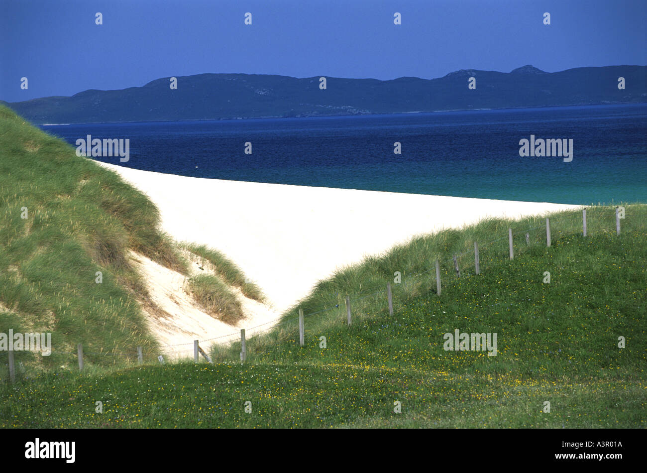 Stockinish hi-res stock photography and images - Alamy