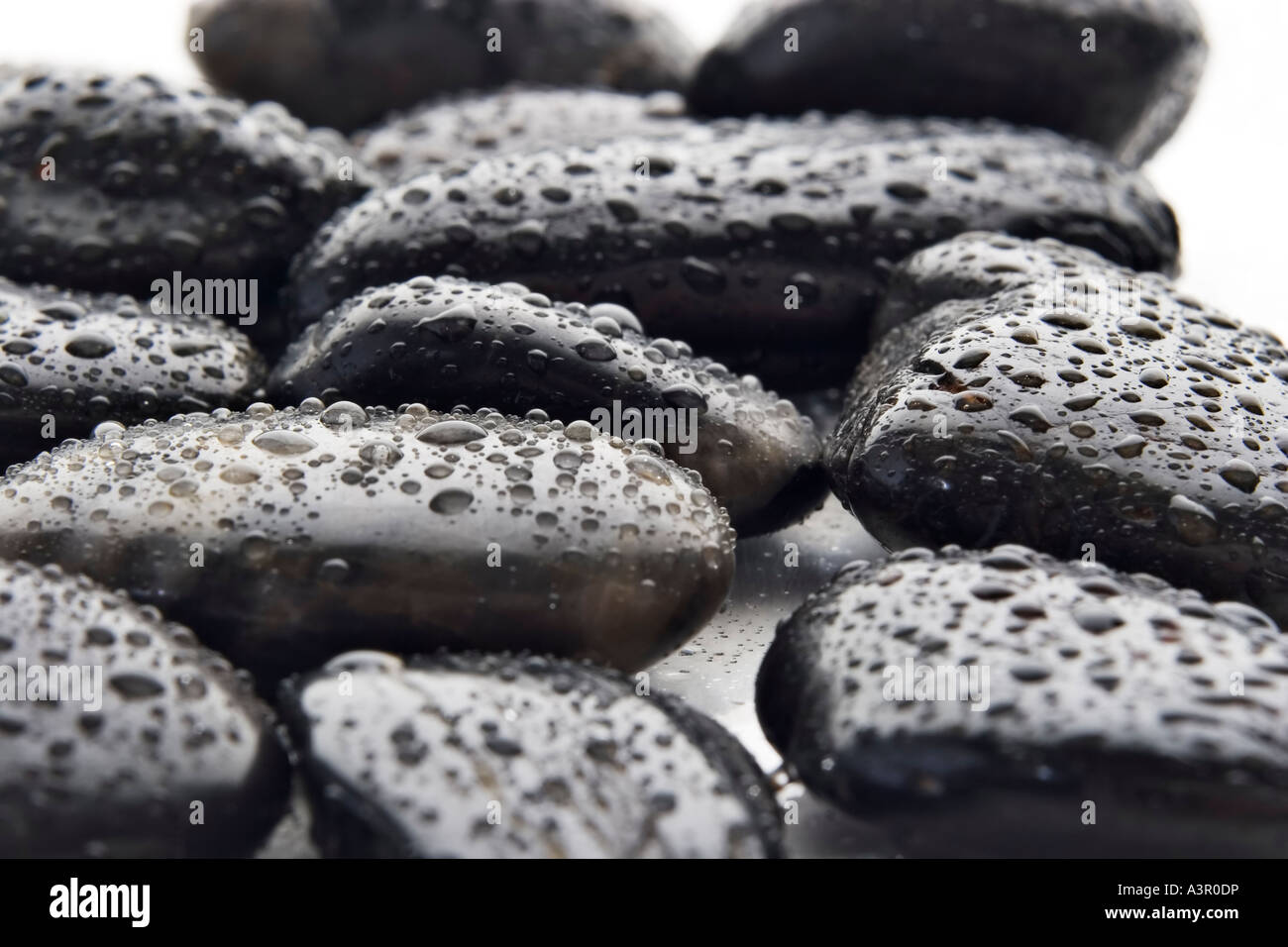 Lastone hi-res stock photography and images - Alamy