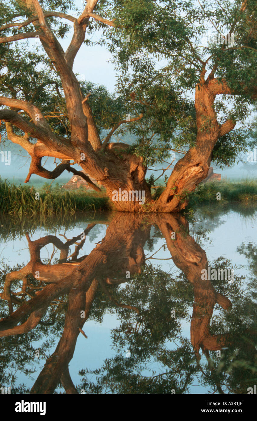 Rays river hi-res stock photography and images - Alamy
