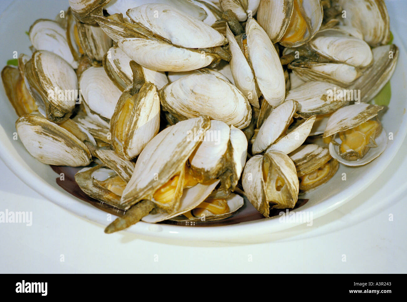 A feast of Cape Cod clams cooked and ready for a large party on the 4th ...