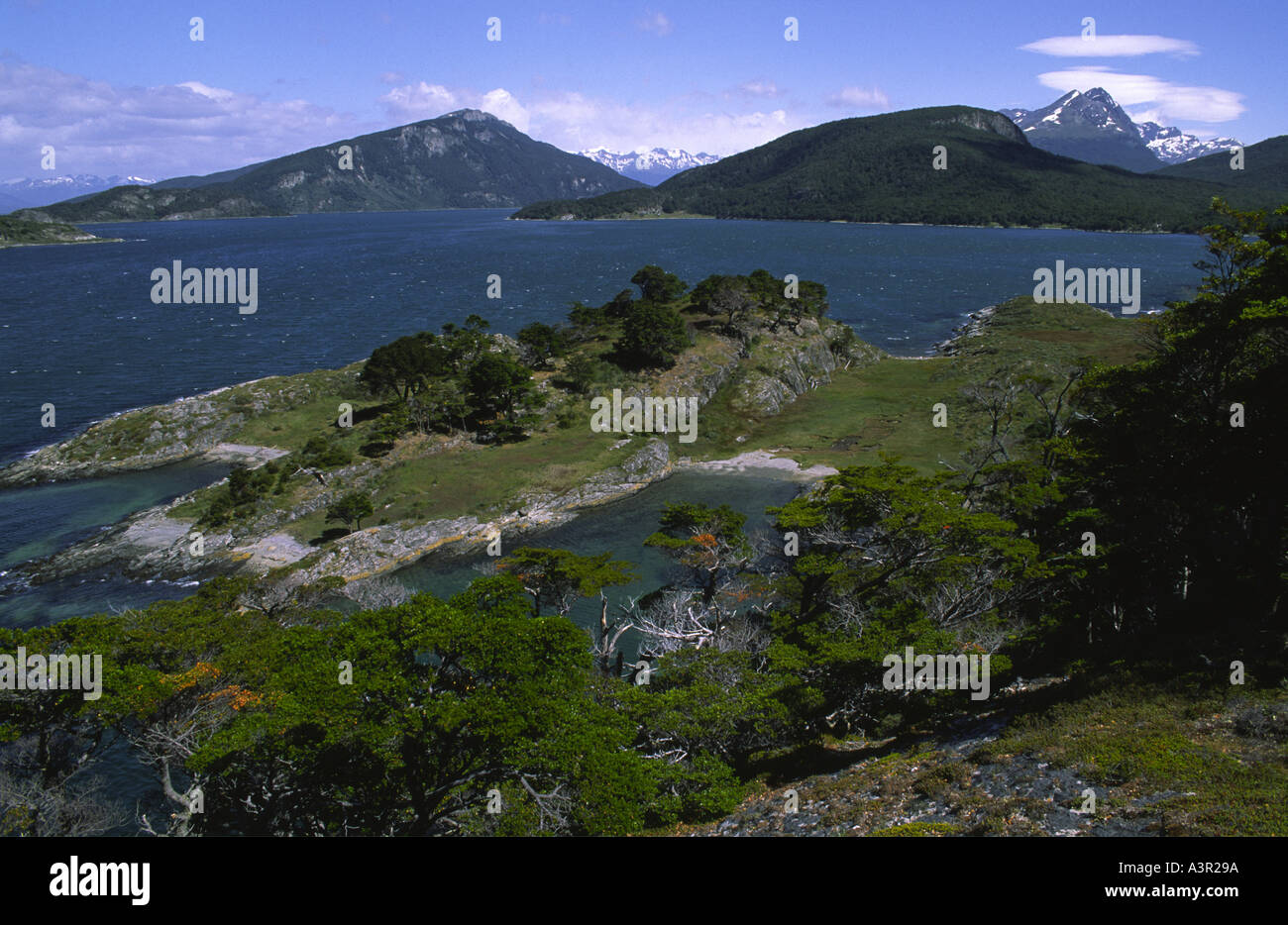 Beagle Channel from Lapataia National Park Tierra del Fuego Patagonia ...