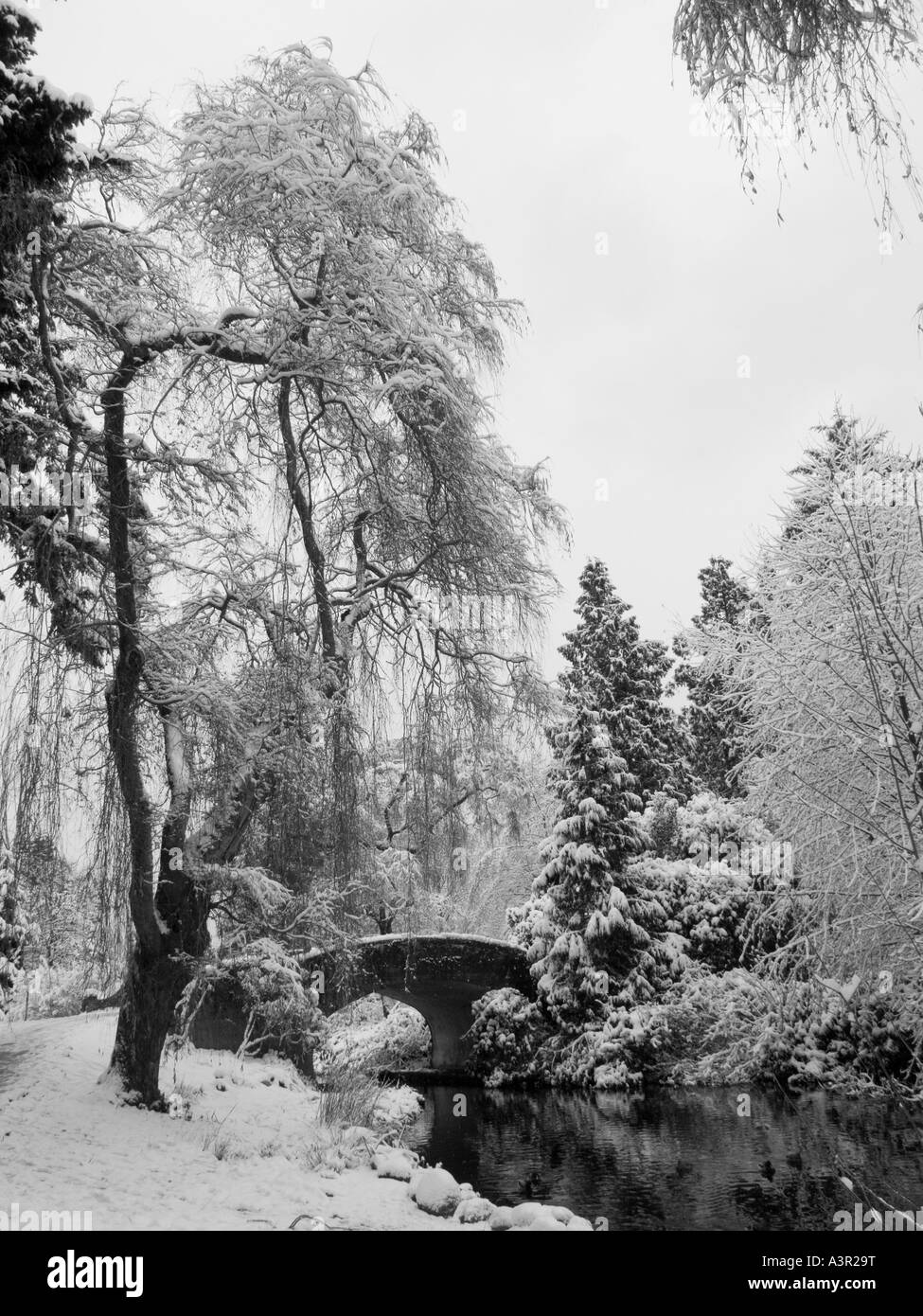 Winter s first snow Stock Photo - Alamy