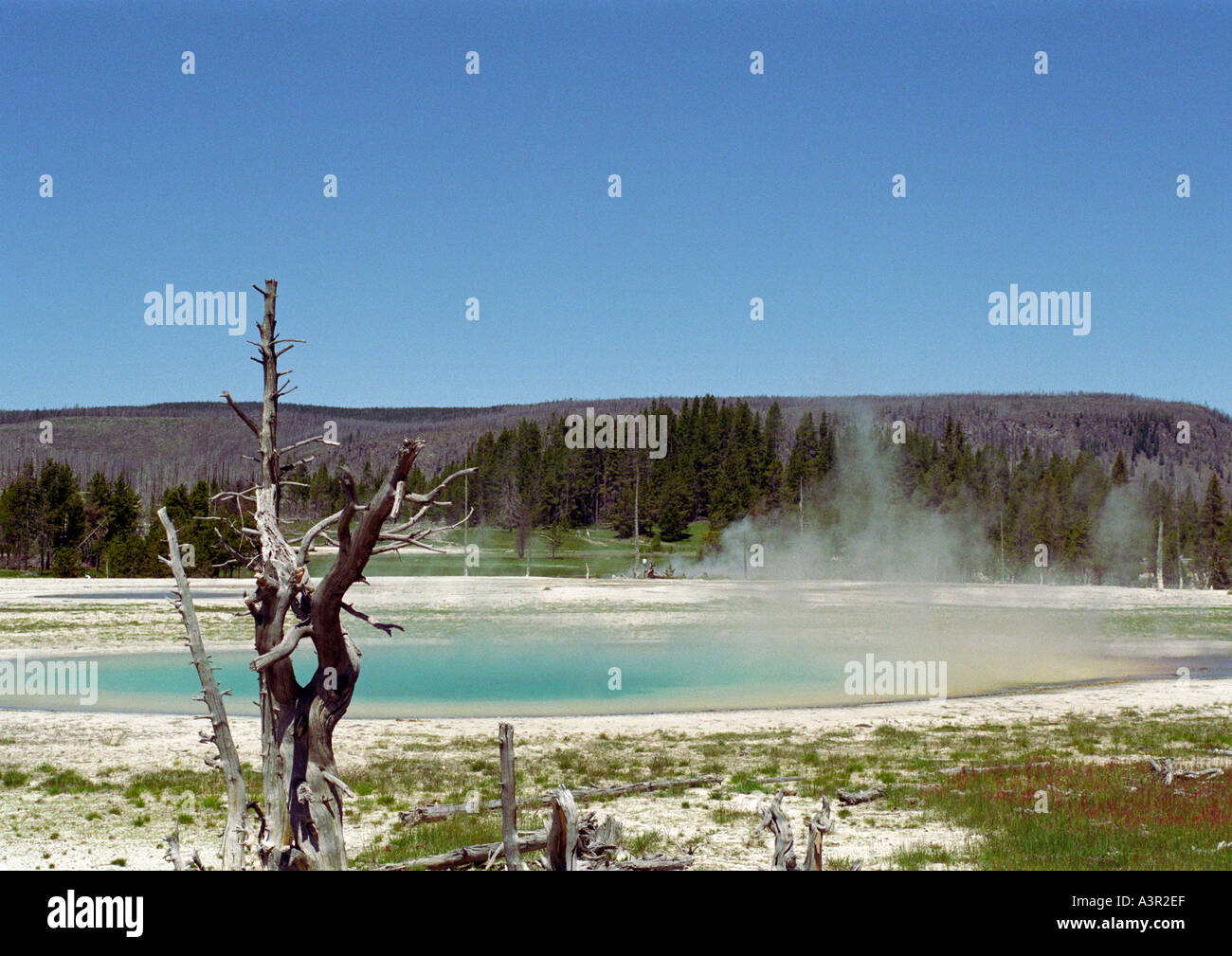 Hot spring Yellowstone National Park USA Stock Photo - Alamy
