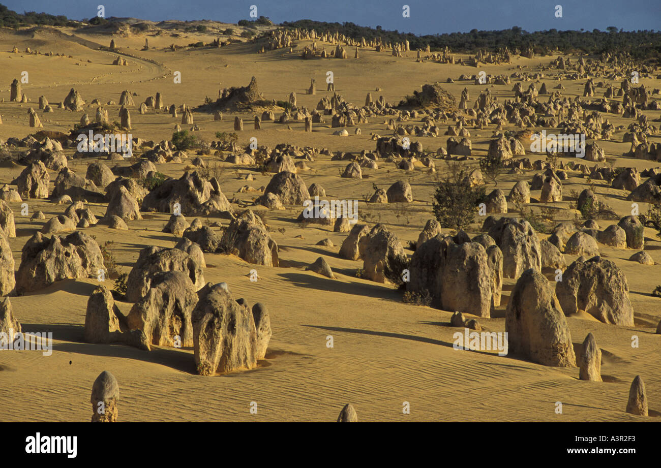The Pinnacles at Nambung national park western Australia Stock Photo ...