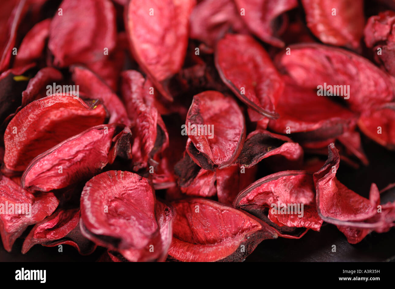 Pot dried flowers hi-res stock photography and images - Alamy
