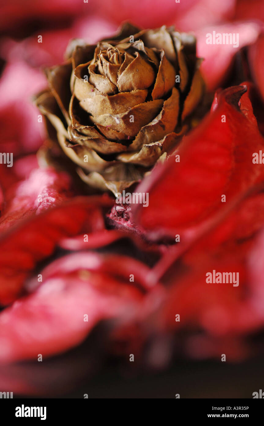 Pot pouri hi-res stock photography and images - Alamy