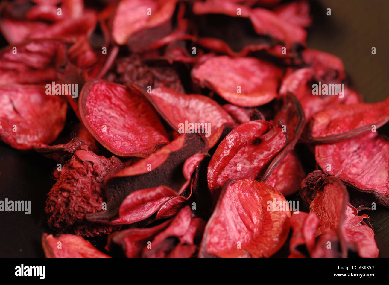 Pot dried flowers hi-res stock photography and images - Alamy