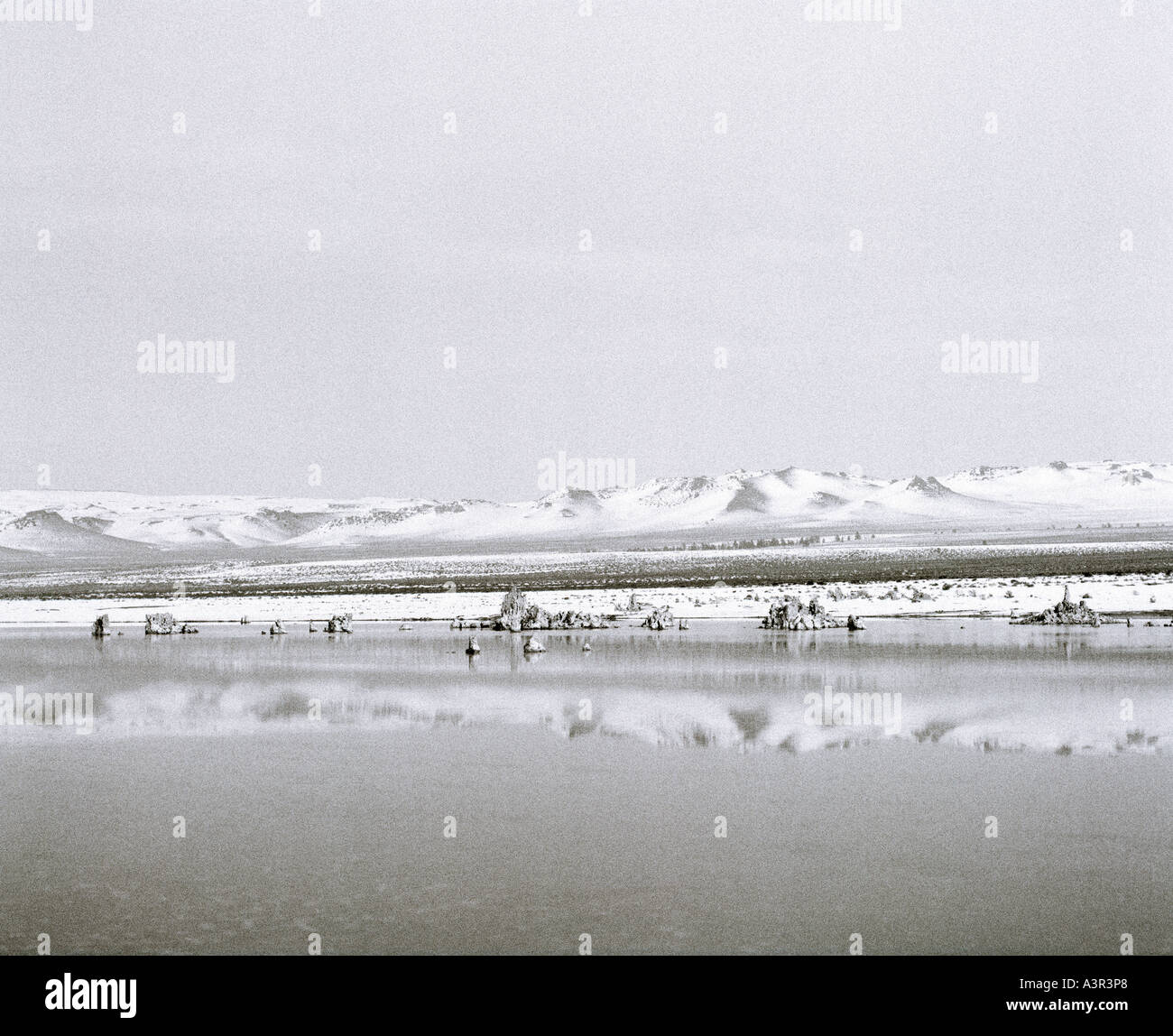 The Environment. Mono Lake landscape in Sierra Nevada in the United ...