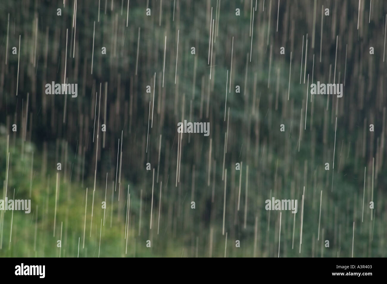 Falling Rain Drops Rain Drops Falling Hi Res Stock Photography And