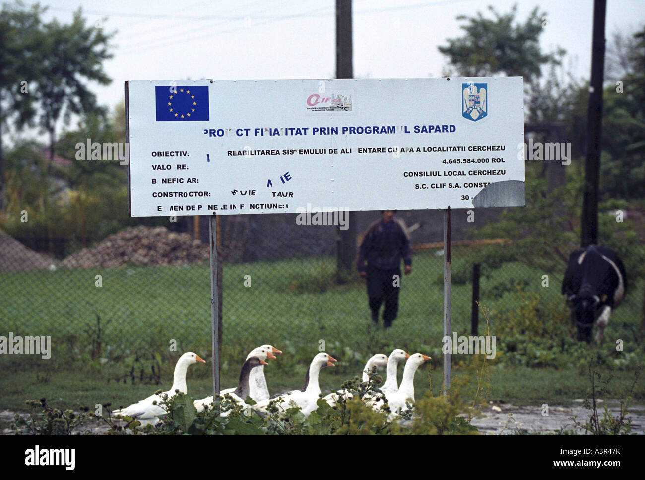 EU Sapard Project signboard in Cerchezu, Romania Stock Photo - Alamy