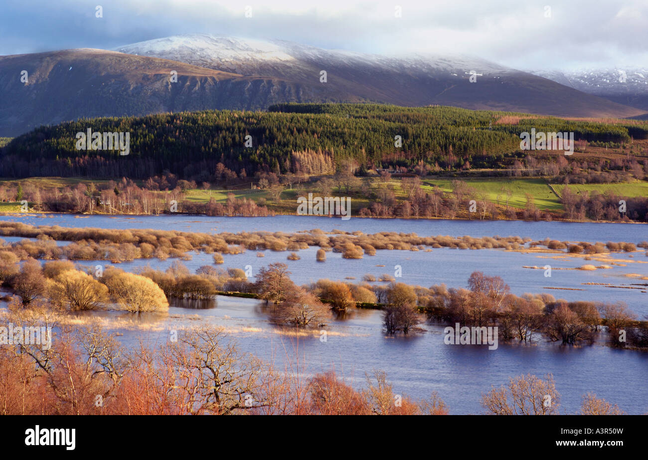 Insh marshes national nature reserve hi-res stock photography and ...