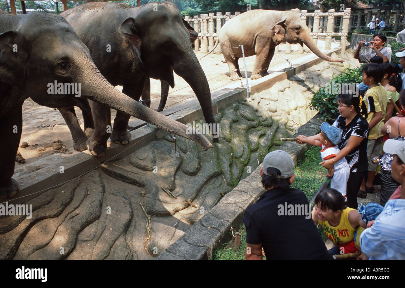 Vietnamese families enjoy the zoo in Ho Chi Minh city, Vietnam Stock ...