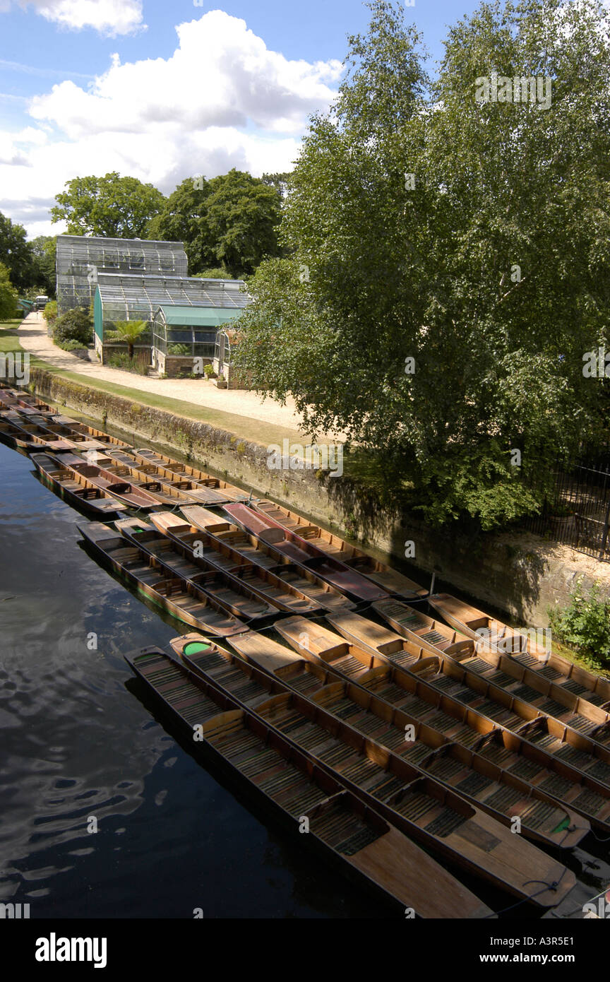 Punt boats Oxford uk Stock Photo - Alamy