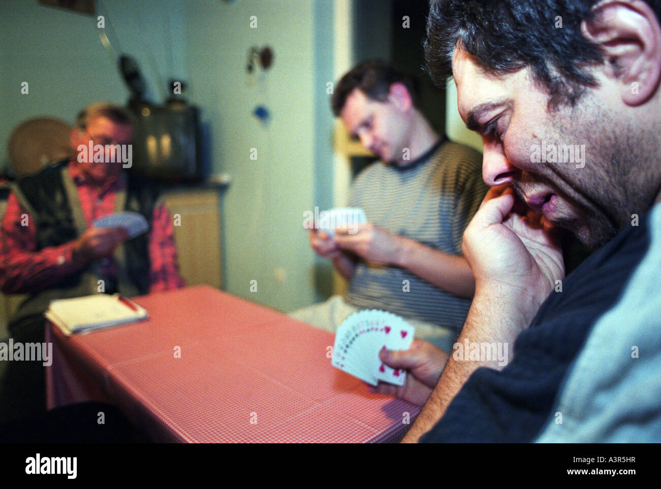 Men playing contract bridge, Poland Stock Photo - Alamy