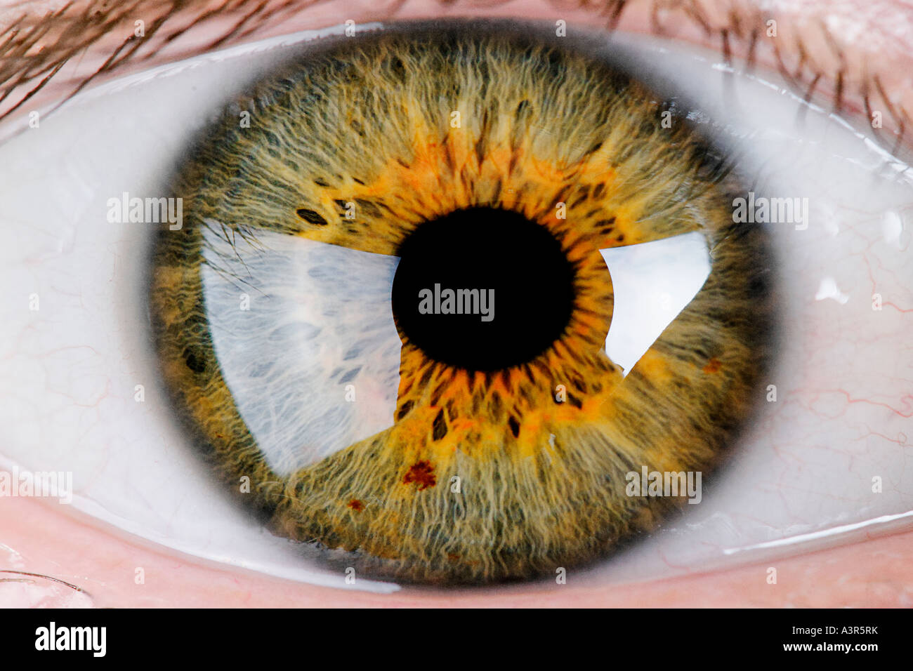 CLOSE UP OF HUMAN EYE Stock Photo - Alamy