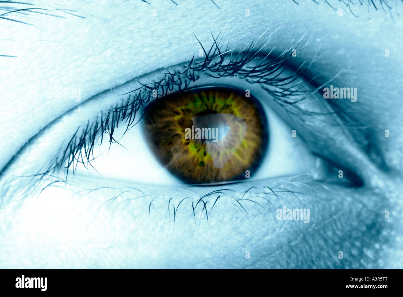 CLOSE UP OF HUMAN EYE Stock Photo - Alamy