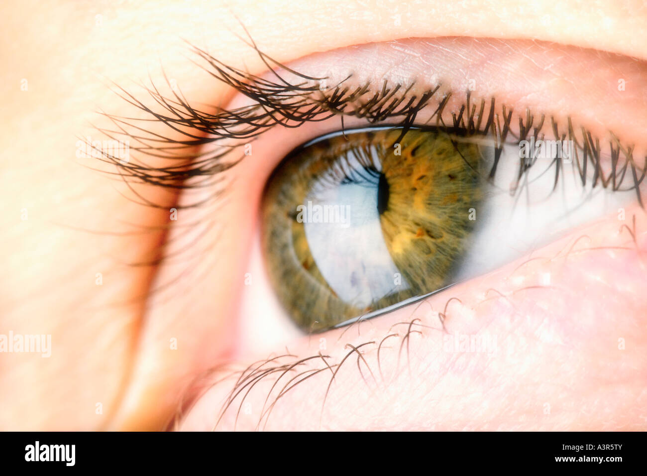 Single male human eye hi-res stock photography and images - Alamy