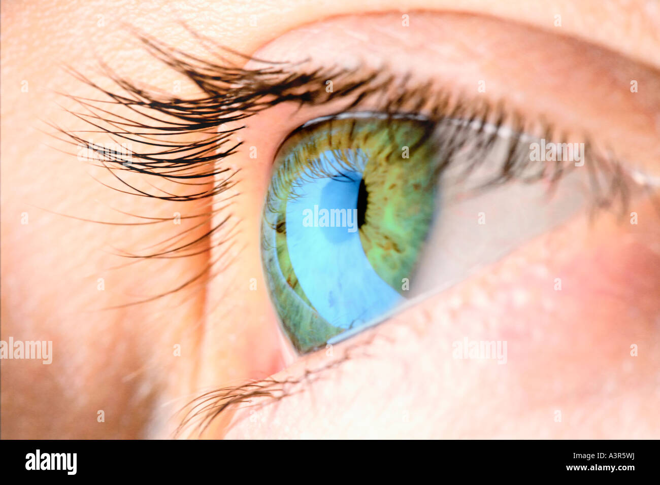 CLOSE UP OF HUMAN EYE Stock Photo - Alamy