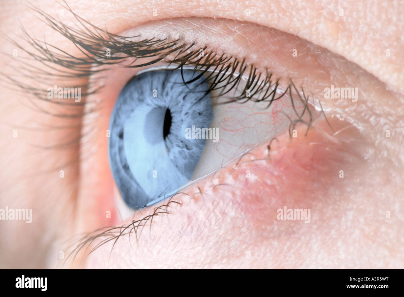 CLOSE UP OF HUMAN EYE Stock Photo - Alamy