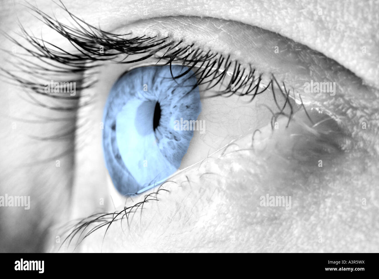 Human body parts eye closeup hi-res stock photography and images - Alamy