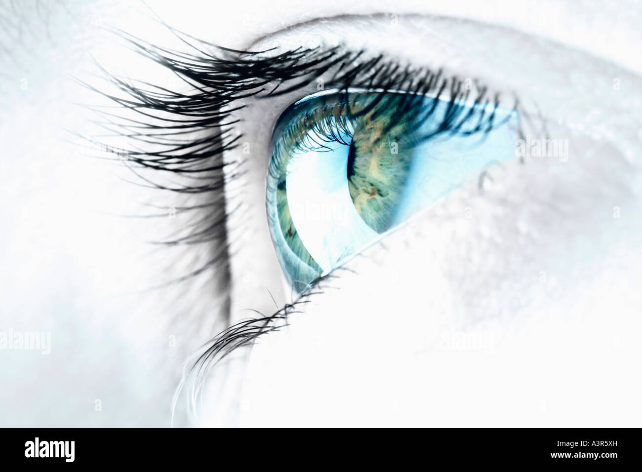 CLOSE UP OF HUMAN EYE Stock Photo - Alamy