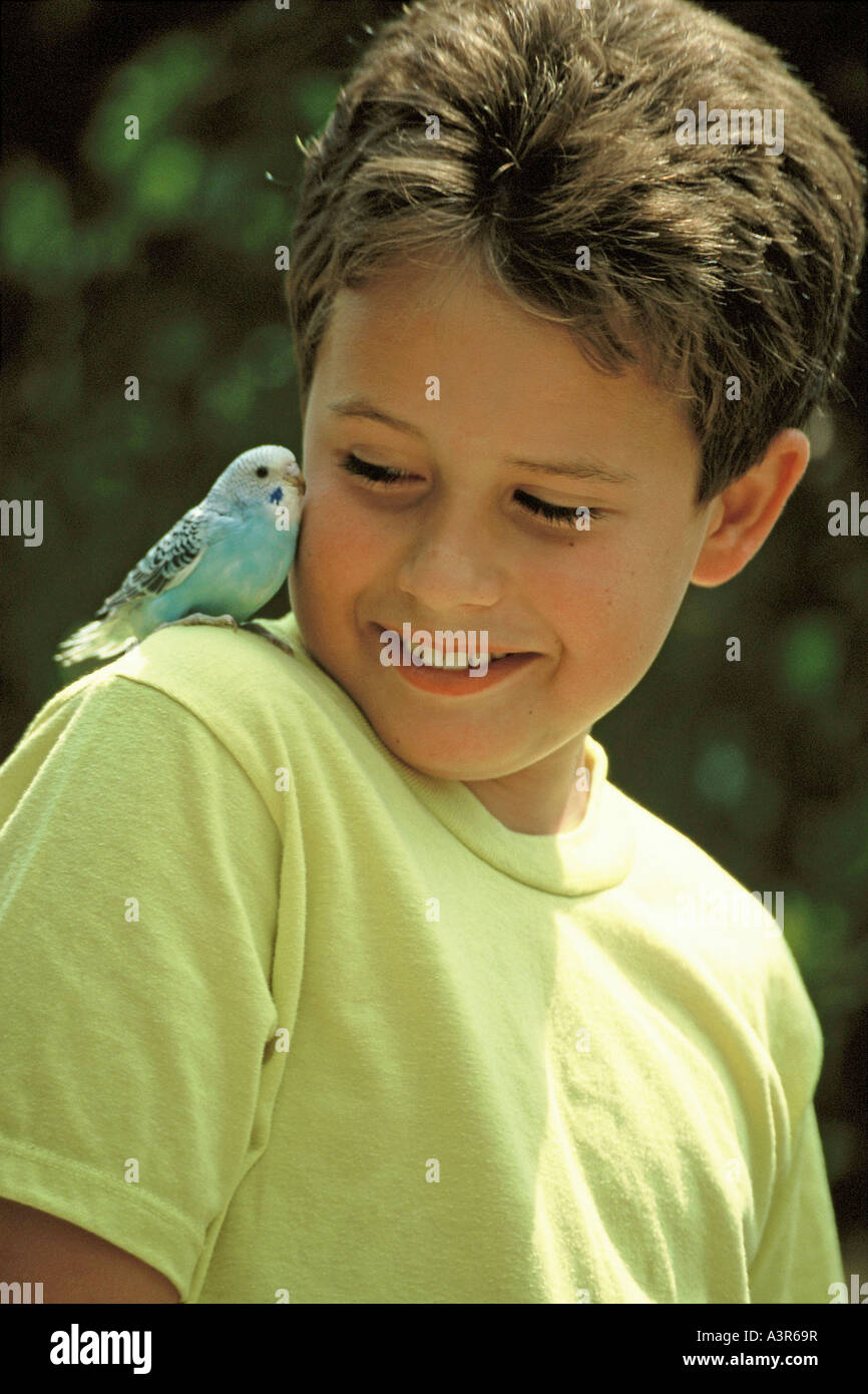 Parakeet and boy Stock Photo - Alamy
