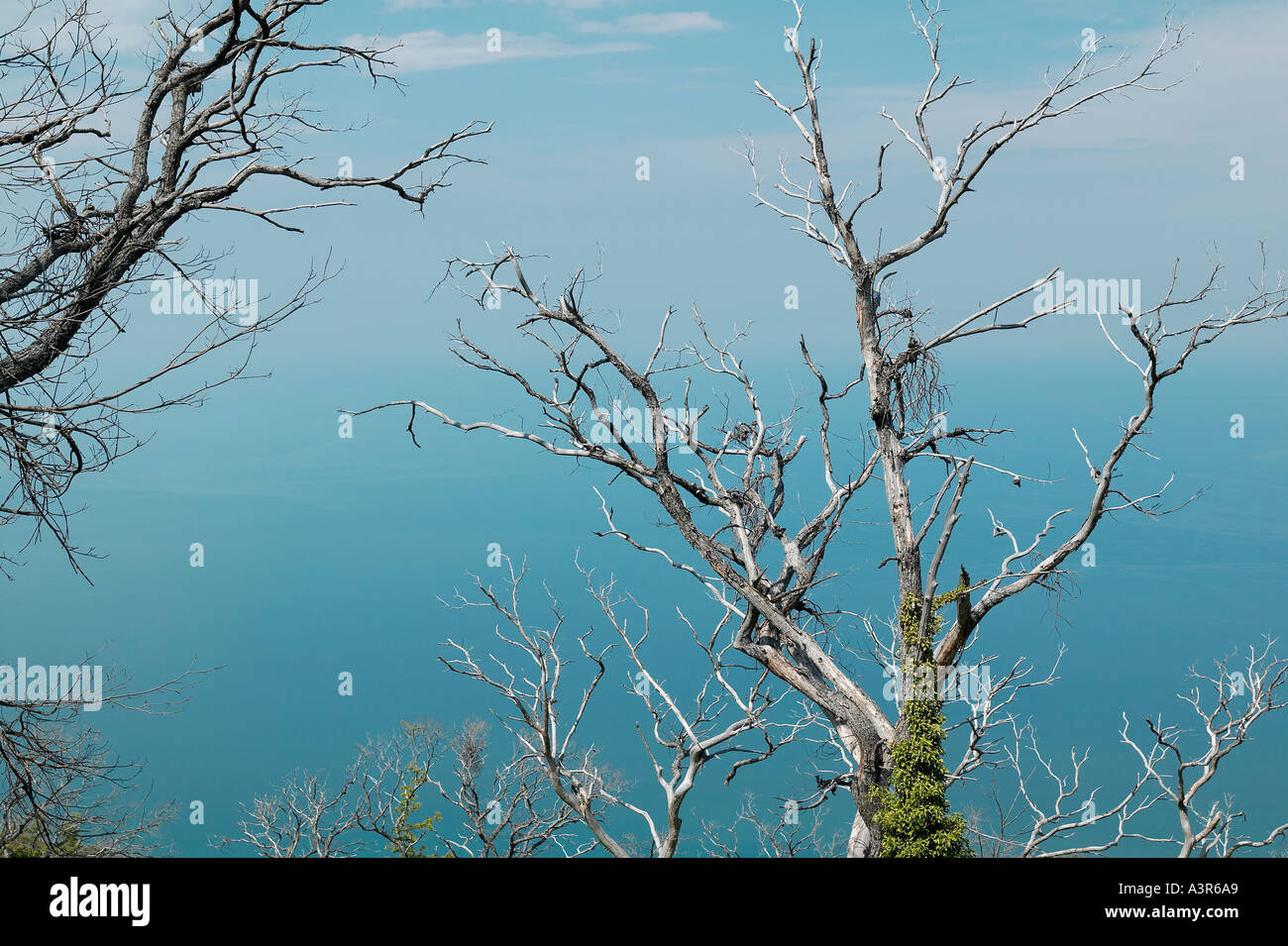 Twing hi-res stock photography and images - Alamy