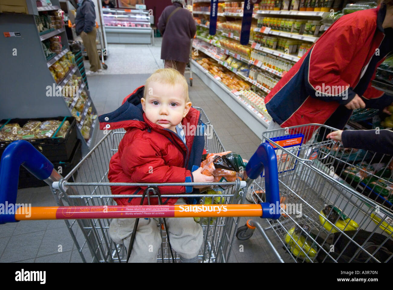 Child Toddler in supermarket trolley Stock Photo - Alamy