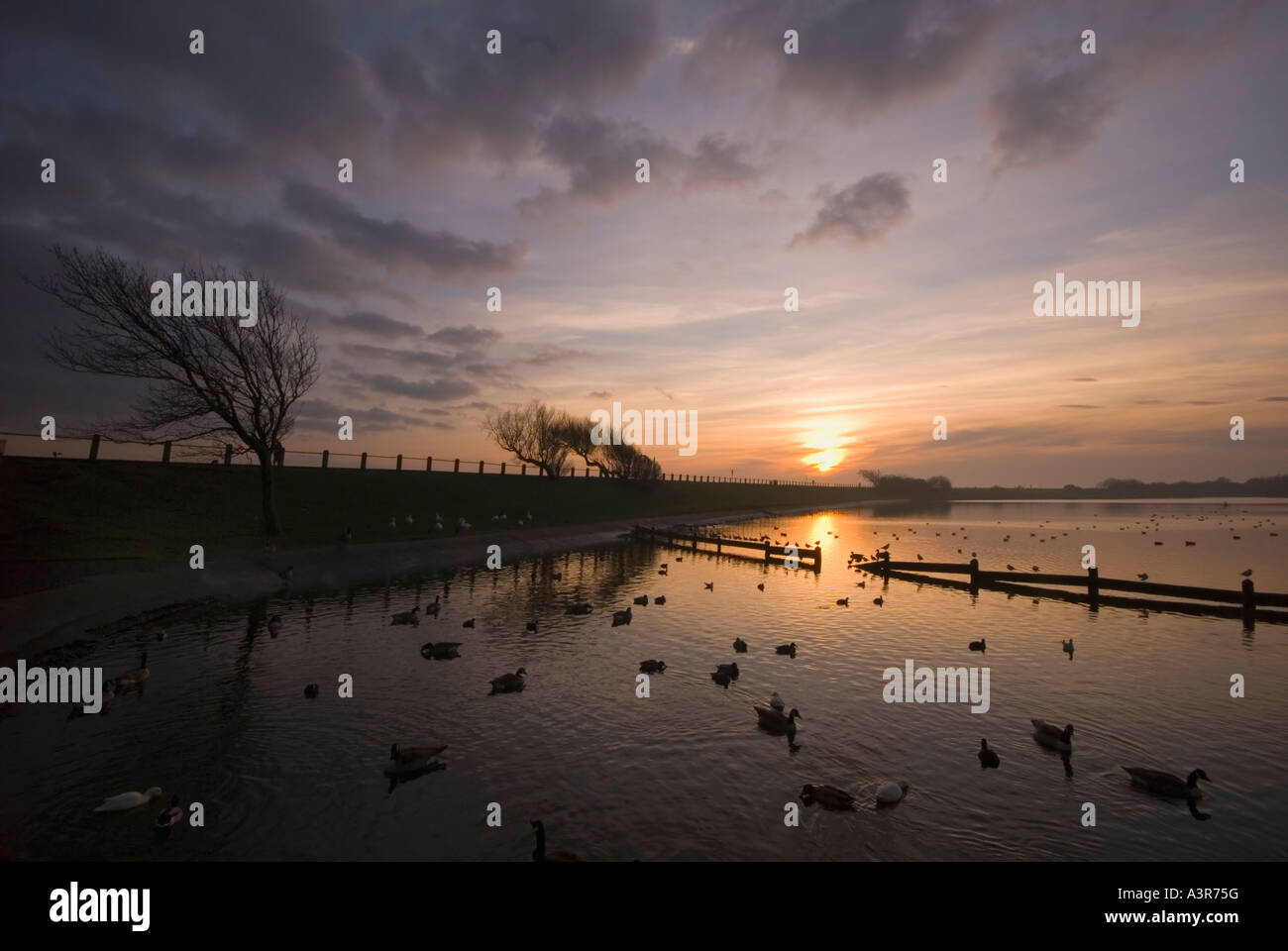 Fairhaven lake hi-res stock photography and images - Alamy