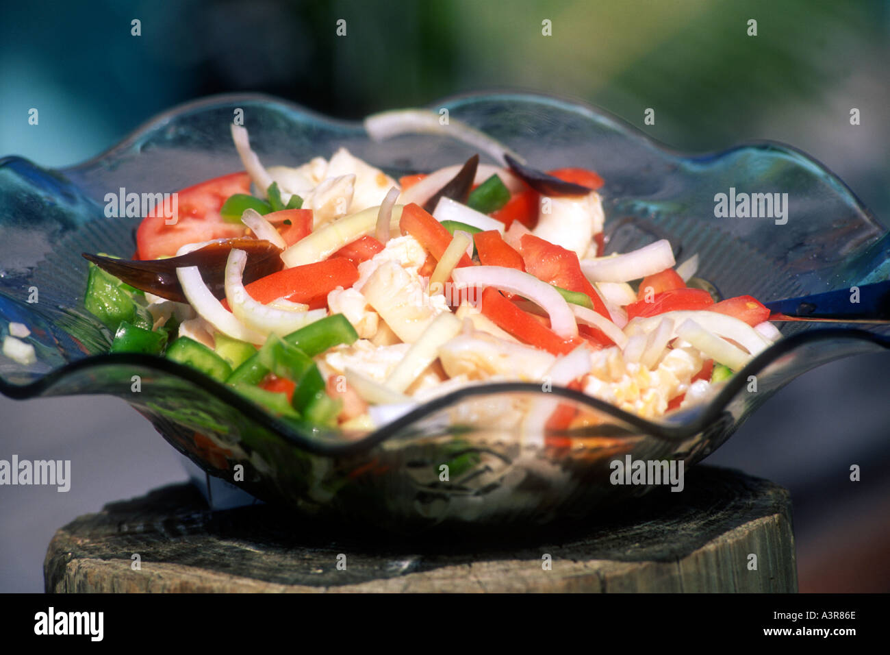 Conch salad harbour island hi-res stock photography and images - Alamy