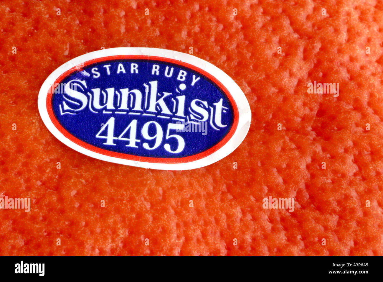 Sunkist Old Logo LIFE Magazine Framed Original Vintage Ad 1966