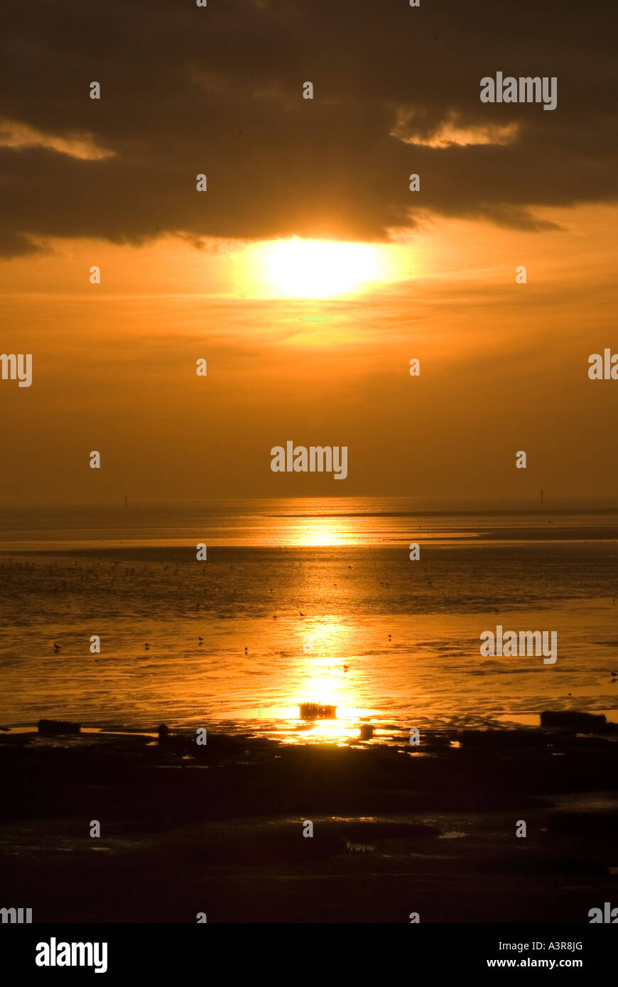Sunset at Fairhaven nature reserve Lancashire UK Stock Photo - Alamy